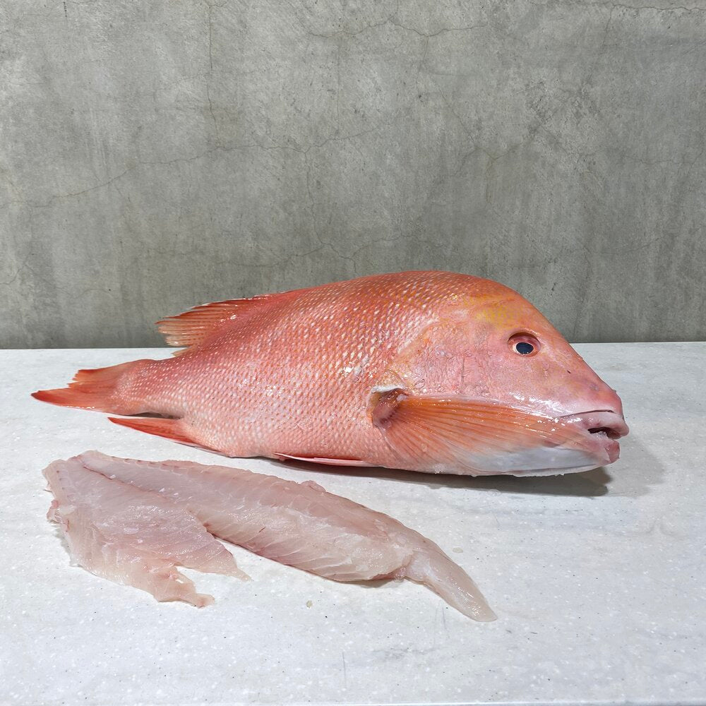 FISH – Kailis Bros Leederville