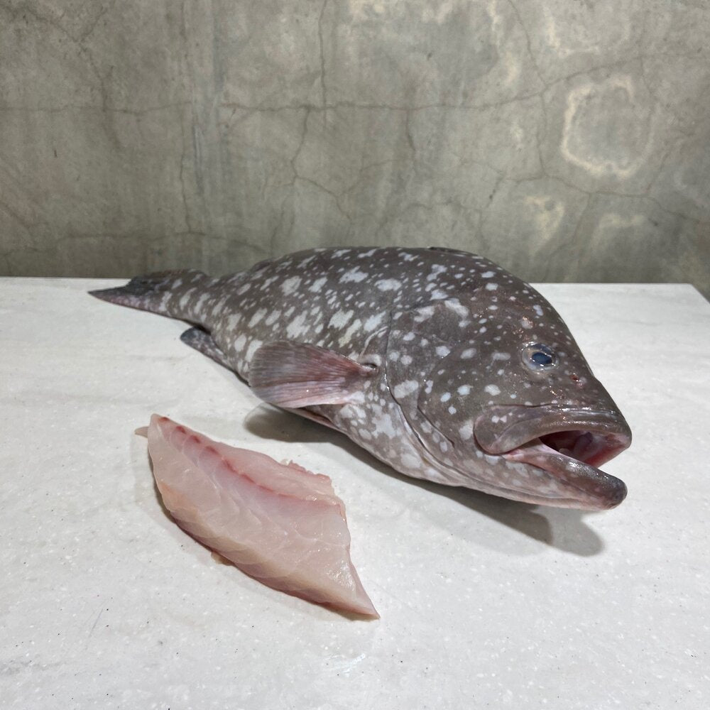 FISH – Kailis Bros Leederville